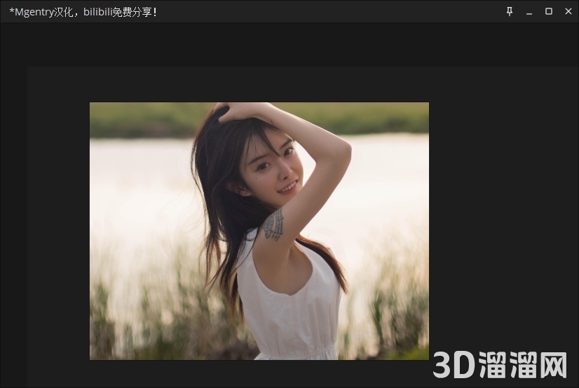 PureRef 2.0软件下载_PureRef 2.0 中文免费版下载 -3D溜溜软件下载网