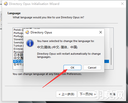 【亲测能用】Directory Opus Pro 12.31文件管理工具中文版安装图文教程-羽兔网